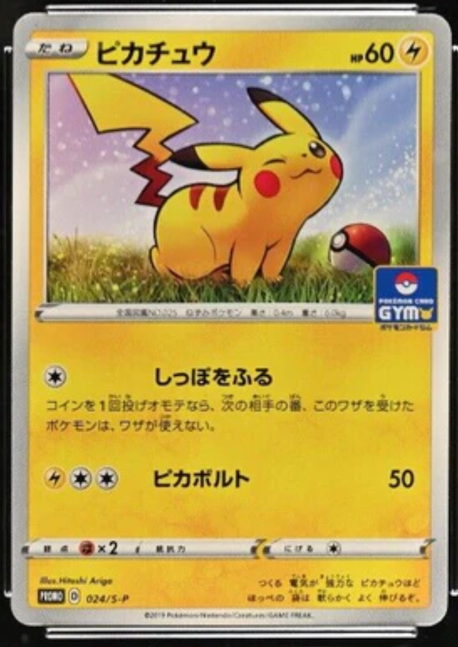 Pokémon Sword & Shield Collection – PKMhobby